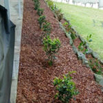 AAA Able Abaca Gardening & Landscaping – Transforming Spaces ...